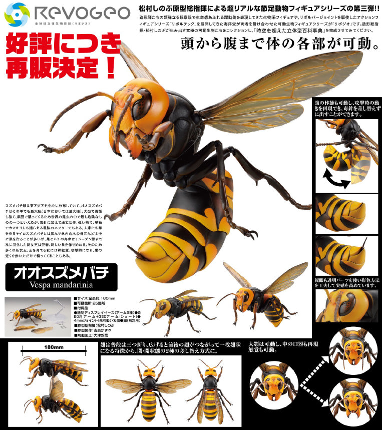 【預訂日期至17-May-21】Kaiyodo REVO GEO Vespa mandarinia Action Figure [再販]